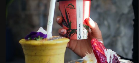 Homepage Climate Active